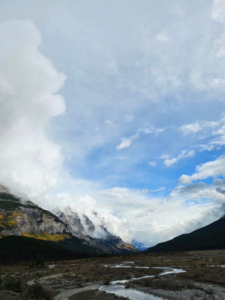 잠실주공5단지 시세 ★ : 네이버 블로그