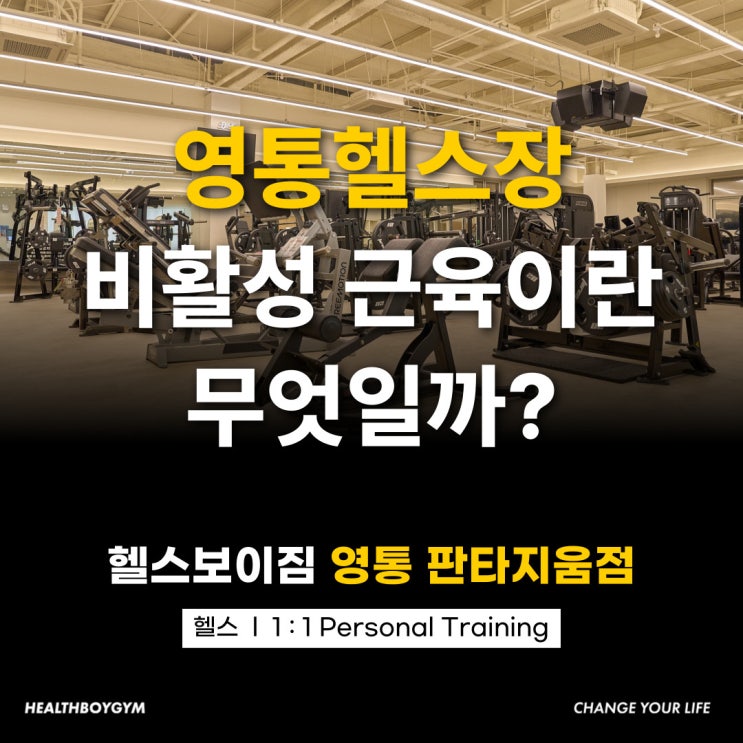 영통헬스장 비활성 근육이란 무엇일까? : 네이버 블로그