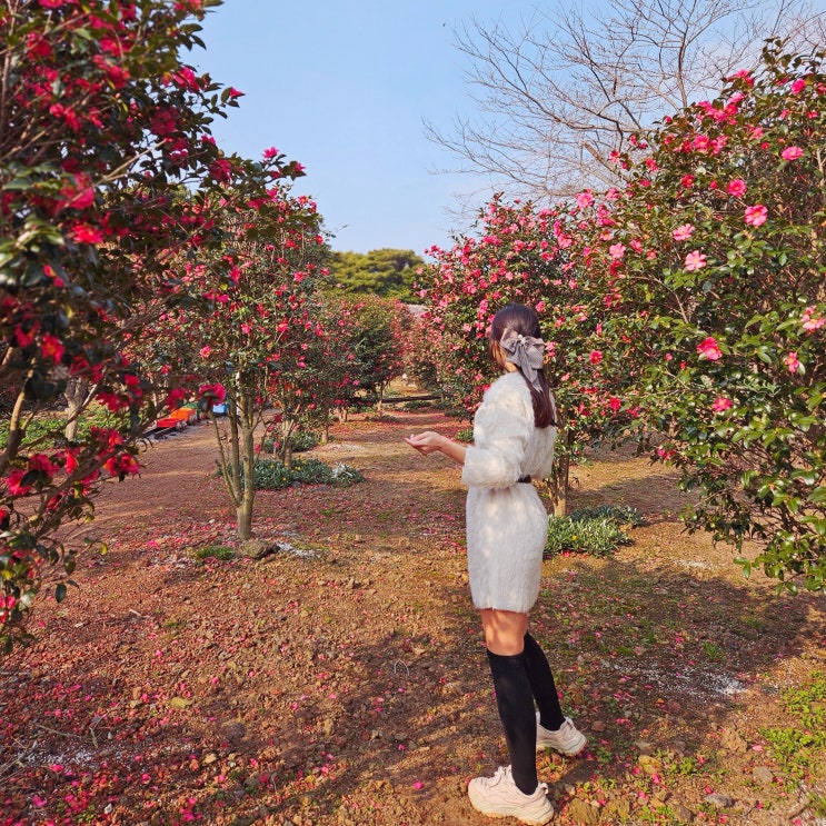 김포공항 주차장 예약 김포공항 1일 주차요금 비교 : 네이버 블로그