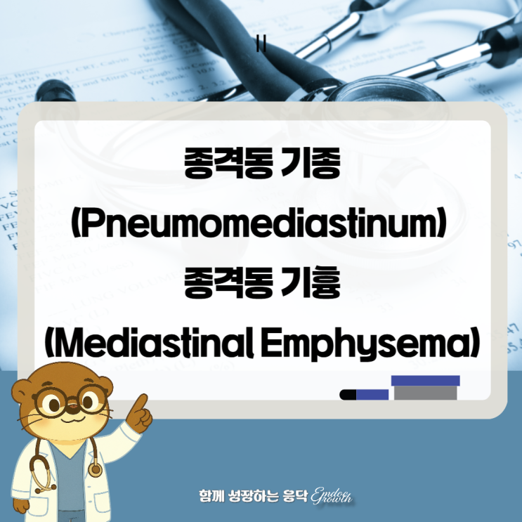 종격동 기종(Pneumomediastinum) 종격동 기흉(Mediastinal Emphysema) : 네이버 블로그