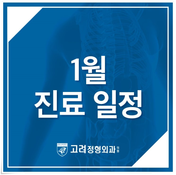 고려정형외과의원 1월 진료 일정 안내드립니다 : 네이버 블로그