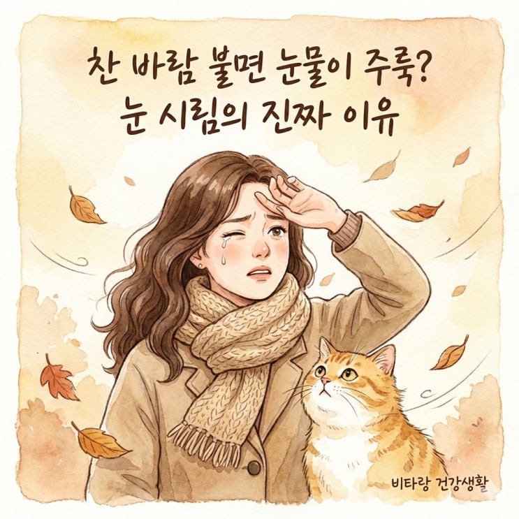 눈 시림 원인: 눈이 시리고 눈물 날 때 진짜 이유는? (단순 건조증 아닐 수도!) : 네이버 블로그