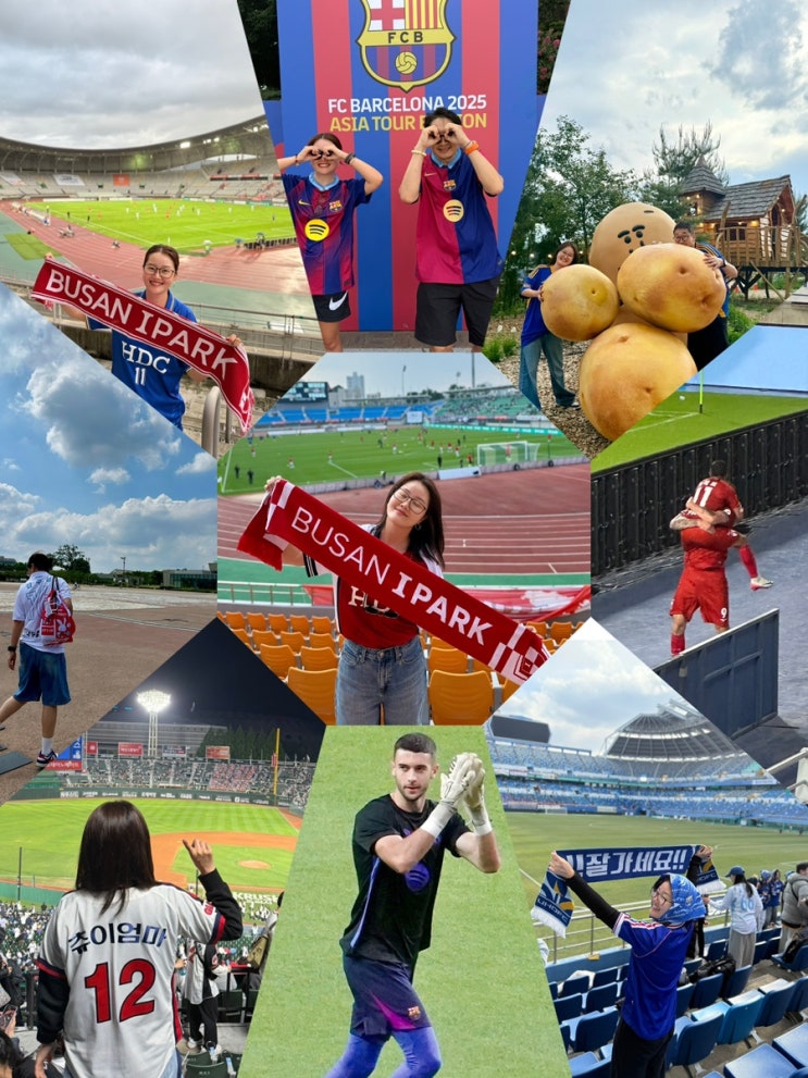 [2025 연말결산] 직관의 기록 (feat. 축덕질에 얼마를 쓰고 다니는가!) : 네이버 블로그