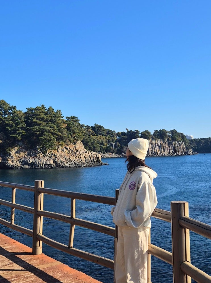 겨울 제주도 여행 코스 서귀포 NOL&블루리본 미식여행 당일치기 : 네이버 블로그