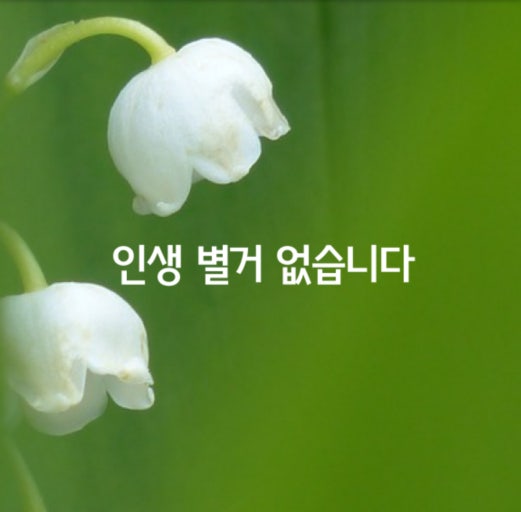 인생 별거 없습니다 (좋은글) : 네이버 블로그