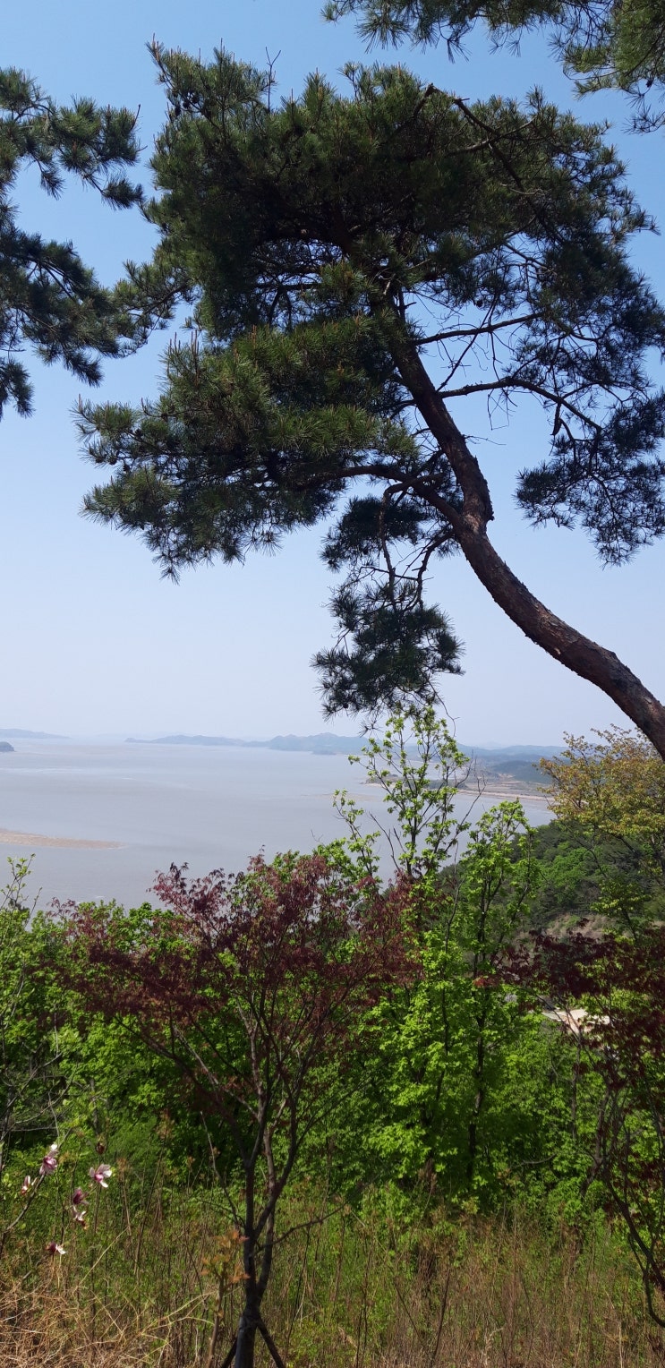 새벽 서울 구로구 단독주택서 화재로 70대 1명 사망 : 네이버 블로그