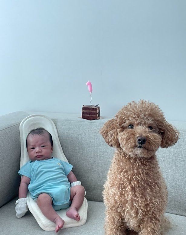 2025년 8월 : 네이버 블로그