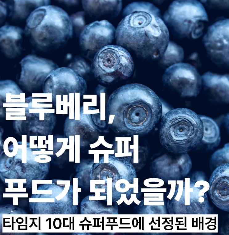 🫐 블루베리는 어떻게 슈퍼푸드가 되었을까? : 네이버 블로그