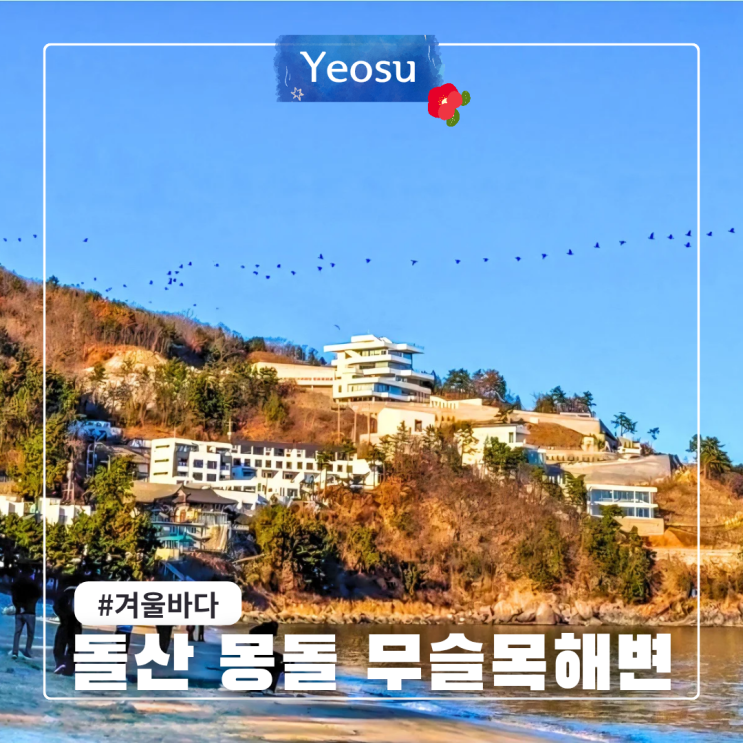 여수 돌산 무슬목해변 몽돌 해수욕장, 철새 군무의 겨울바다 : 네이버 블로그