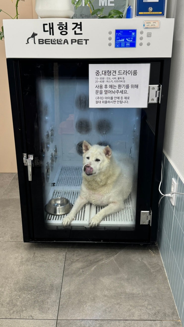 부산 동구 개목욕탕 재방문 후기｜40kg 대형견도 여유로운 셀프목욕 : 네이버 블로그