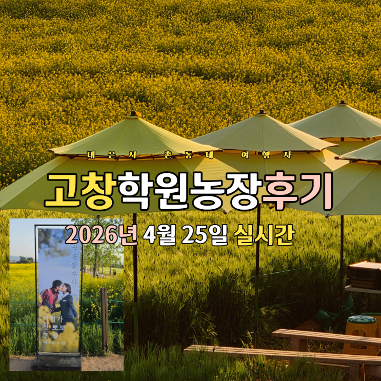 고창 청보리밭 학원농장 2026 입장료, 시간 총정리 실시간 후기 : 네이버 블로그
