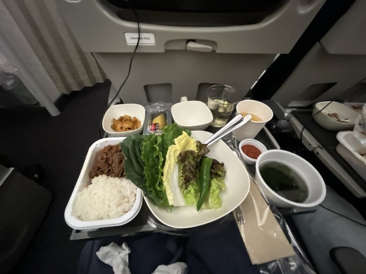 대한항공 기내식 메뉴 및 음료, 간식 상세후기 (B787-9 이코노미) : 네이버 블로그