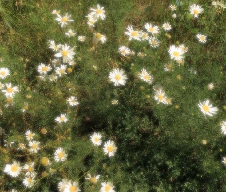 May 🤍 : 네이버 블로그