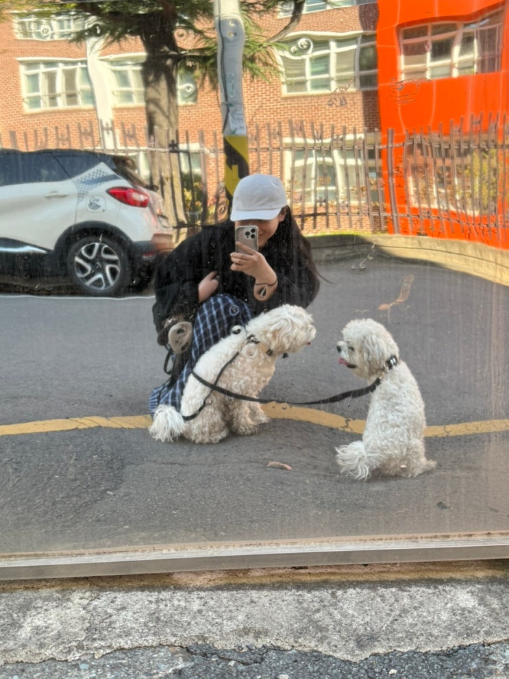 251 : 네이버 블로그