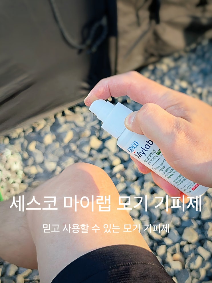 캠핑 벌레 기피제 추천 세스코 마이랩 모기 기피제로 여름 캠핑 즐기기 : 네이버 블로그