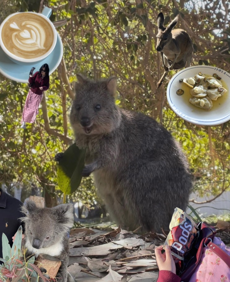 🇦🇺 5월의 Perth•퍼스 + 홍콩을 곁들인 : 네이버 블로그