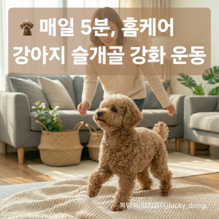 집에서 하는 강아지 슬개골 강화운동 & 관절 영양제 고르는법 : 네이버 블로그