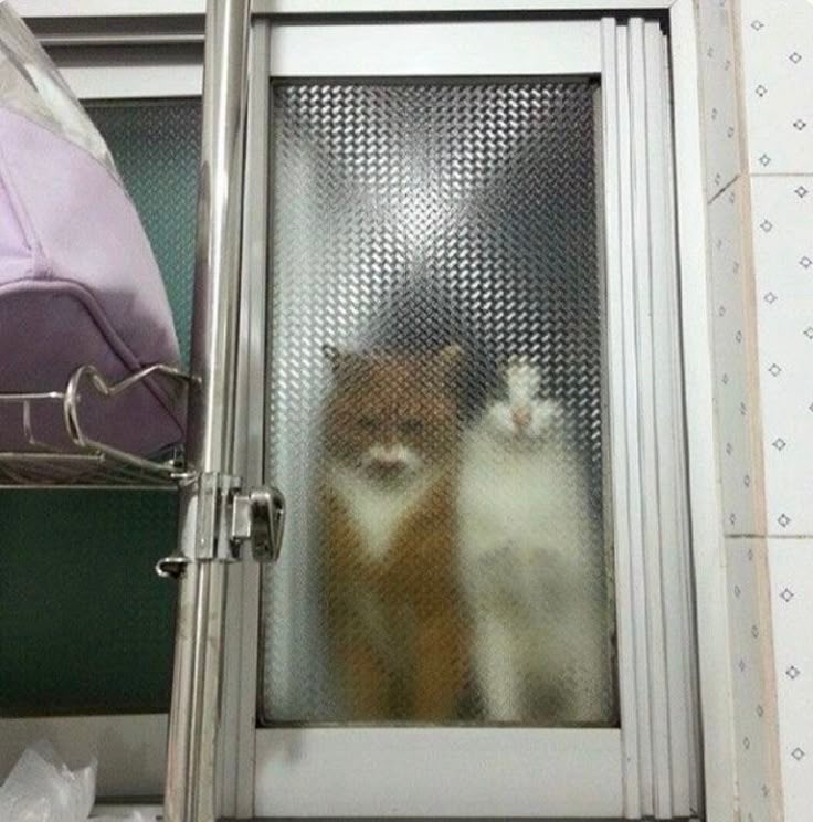 무난일상 #202 : 네이버 블로그