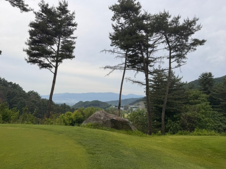 202605 샴발라cc 라운딩후기 : 네이버 블로그