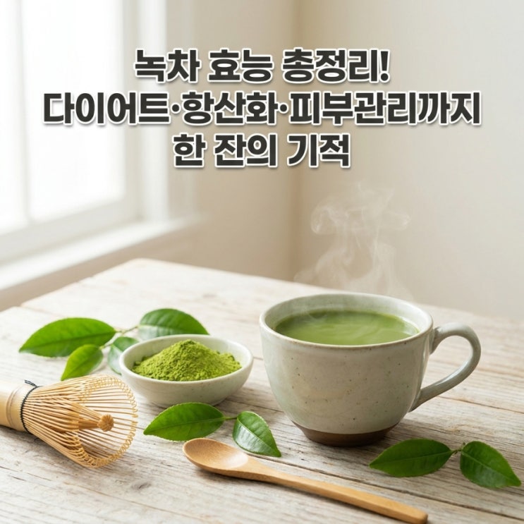녹차 효능 총정리! 다이어트·항산화·피부관리까지 한 잔의 기적 : 네이버 블로그