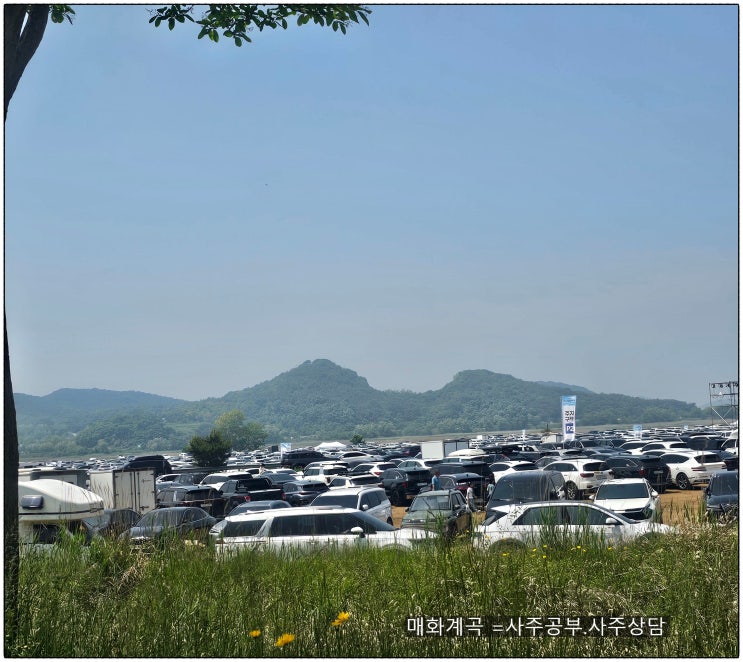 천간의 비겁과 지지의 비겁을 다르게 해석해야 하는 이유 : 네이버 블로그