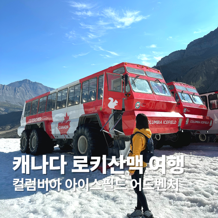 캐나다 로키여행 컬럼비아 아이스필드 어드벤처 설상차 빙하투어 예약 가격 후기 : 네이버 블로그