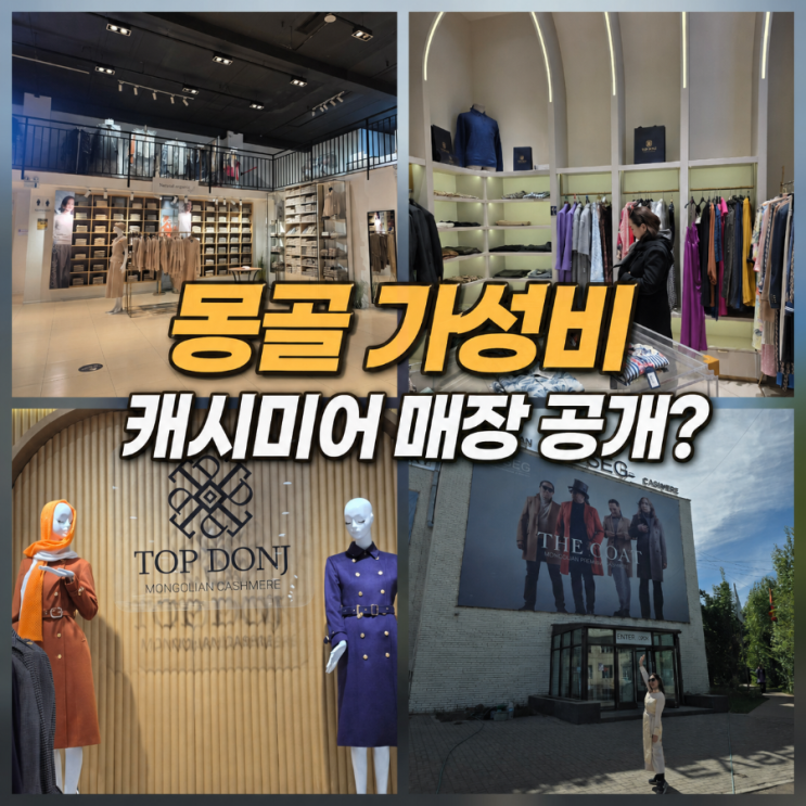몽골기념품 캐시미어 어디서 살까? 에브섹 EVSEG 공장형 매장 추천 : 네이버 블로그