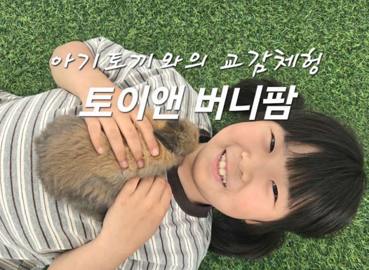양평 가볼만한곳/특별한 동물농장체험이 있는/토이앤 버니팜 : 네이버 블로그