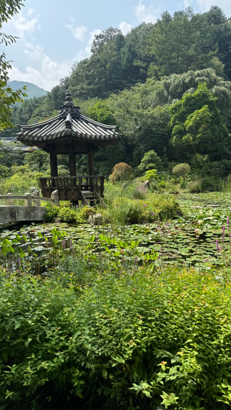 가평 가볼만한곳 아침고요수목원 드라이브 코스 추천 : 네이버 블로그