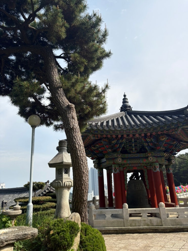 너무나 행복했던 지난 일상들에 대하여 : 네이버 블로그