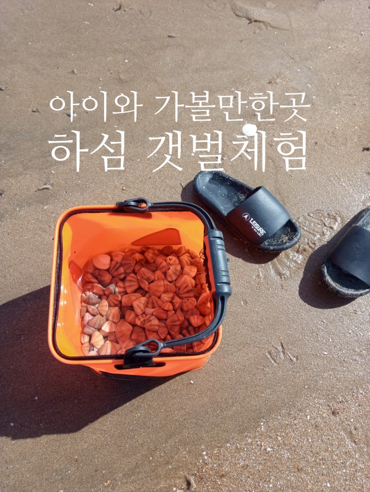 [부안 여행] 아이와 가볼만한곳 '하섬' 갯벌체험 & 야간 해루질 물때 총정리 : 네이버 블로그