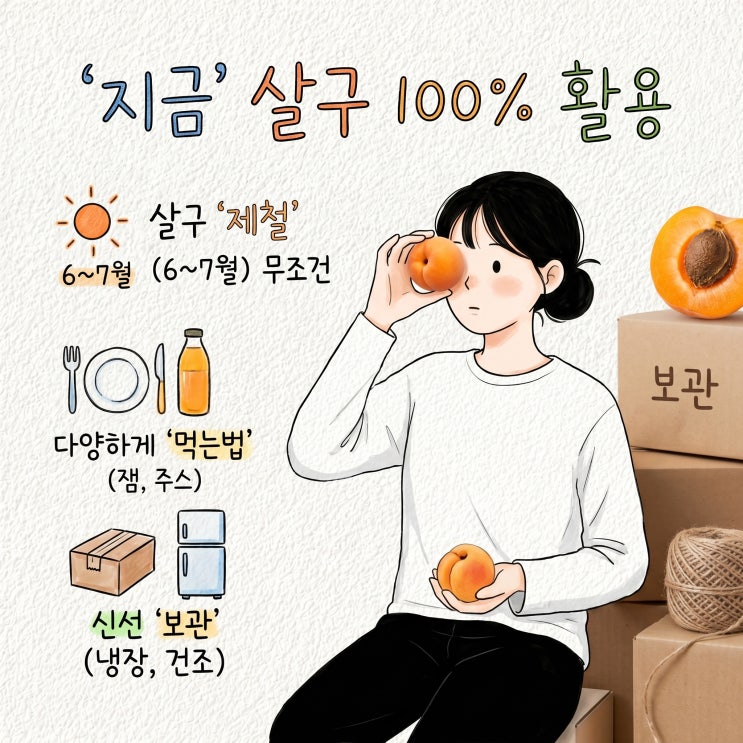 살구 제철 효능 먹는법 부작용 보관방법 : 네이버 블로그