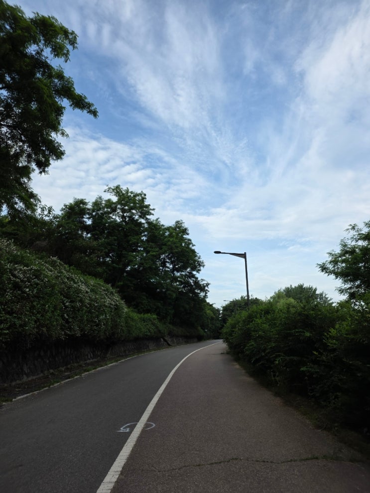 상암 하늘공원 13KM 아침 러닝 : 네이버 블로그