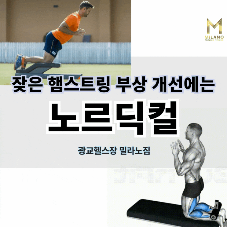 잦은 햄스트링 부상 개선에는 노르딕 컬 운동 [광교헬스장 밀라노짐] : 네이버 블로그