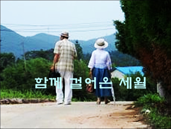 함께 걸어온 세월 : 네이버 블로그