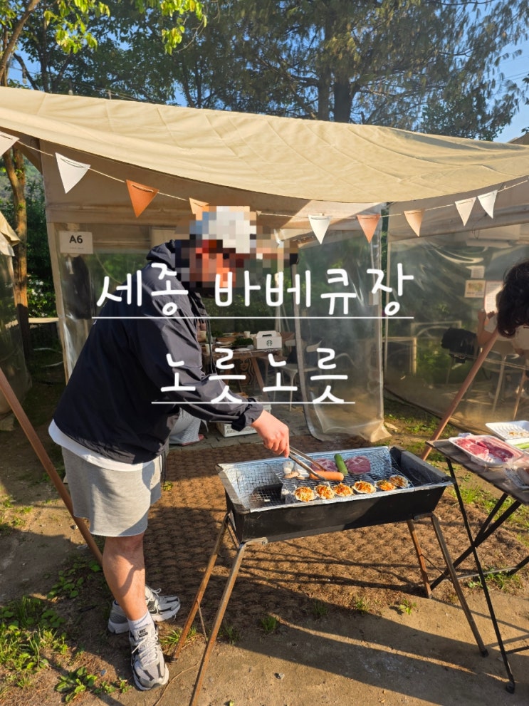 세종 노릇노릇 내돈내산 솔직후기 : 네이버 블로그