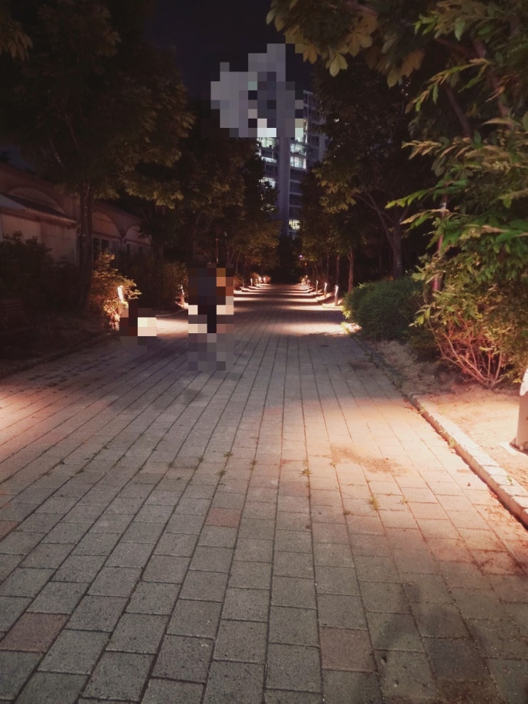 저녁 산책,이쁜 조명길~ : 네이버 블로그