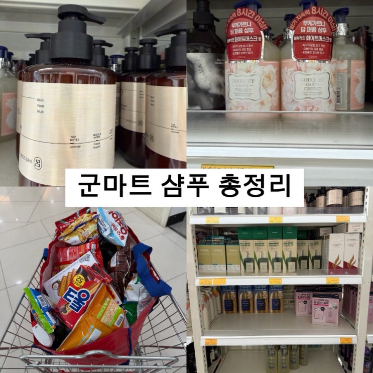 2026 군마트 6월 피엑스 PX 샴푸 12가지 종류 가격 비교 : 네이버 블로그