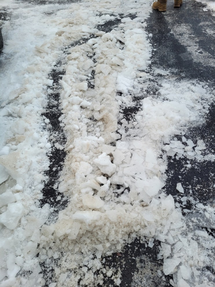 바쁜 2025년 마지막 날 : 네이버 블로그