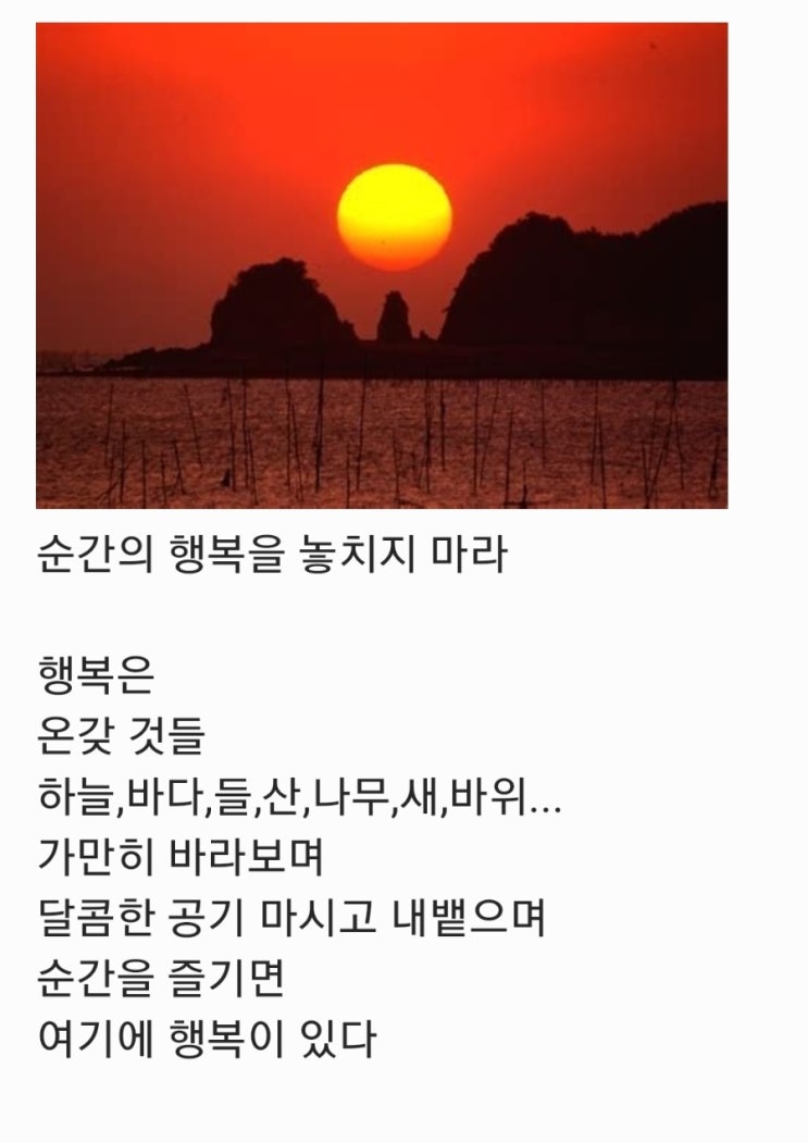 순간의 행복을 : 네이버 블로그