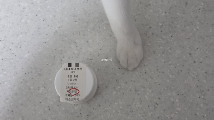 순천 미즈 계류유산 소파술 : 네이버 블로그