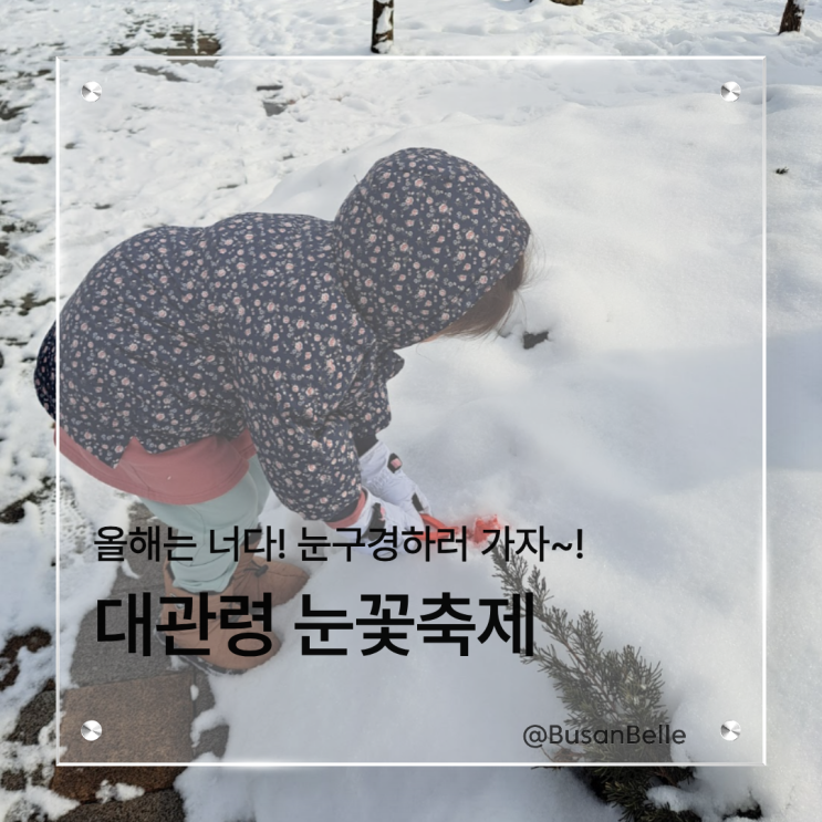 평창 대관령눈꽃축제 2026 예약방법 일정 기간 가는법 눈썰매까지 총정리 : 네이버 블로그