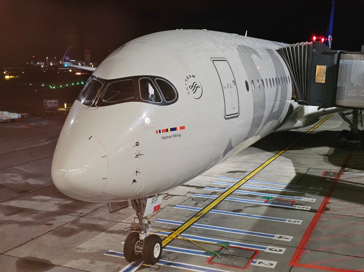 [스칸디나비아 일주] 11. 스톡홀름→코펜하겐→인천 (SK1409, SK987) : 네이버 블로그