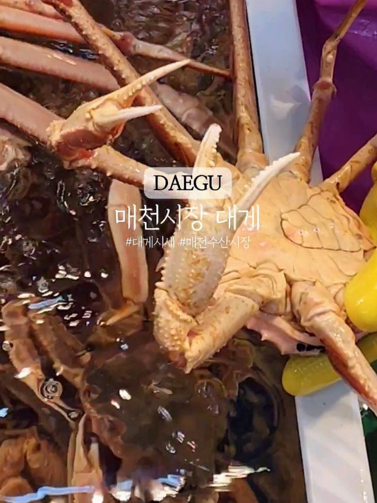 대구 매천시장 대게 구매 후기 | 가격 시세 정리 : 네이버 블로그