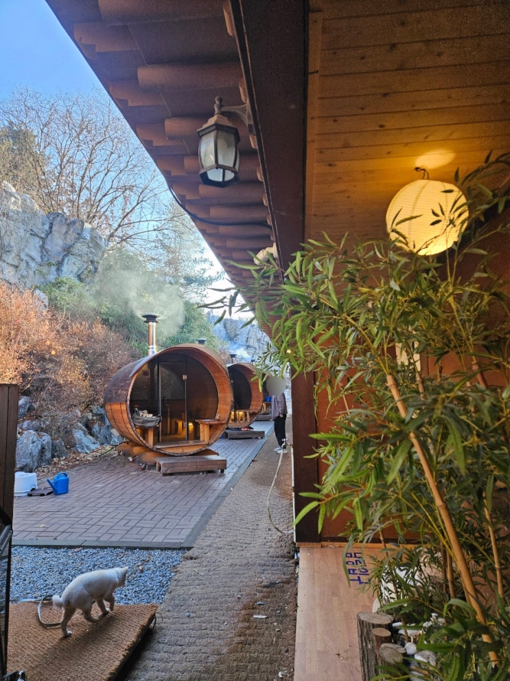 충주 능암탄산온천 평일 방문 후기, 온천 핀란드 사우나 이용 : 네이버 블로그