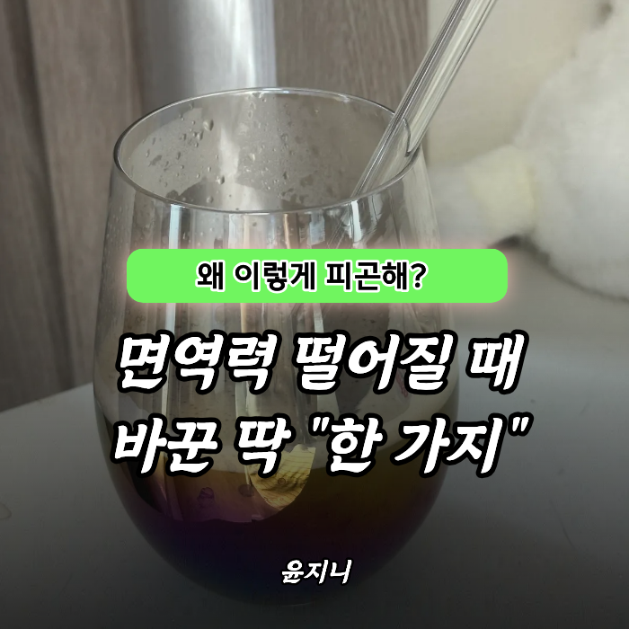 면역력에 좋은 음식 찾다 시작한 루틴, 만성피로 증상 해결했어요 : 네이버 블로그