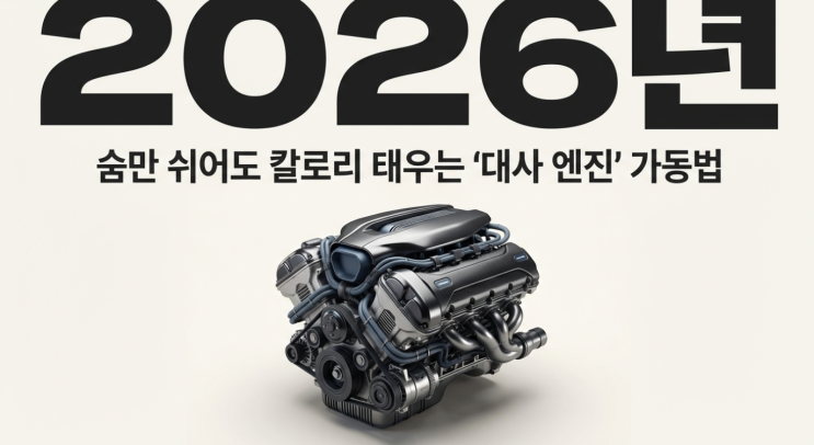 2026년 기초대사량 높이기 | 숨만 쉬어도 칼로리 태우는 '대사 엔진' 가동법 : 네이버 블로그