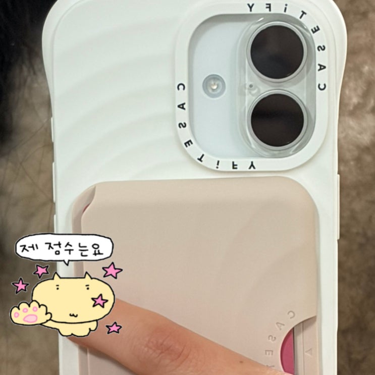 케이스티파이 리플 지갑 오트🍑 맥세이프 카드지갑 강추 : 네이버 블로그