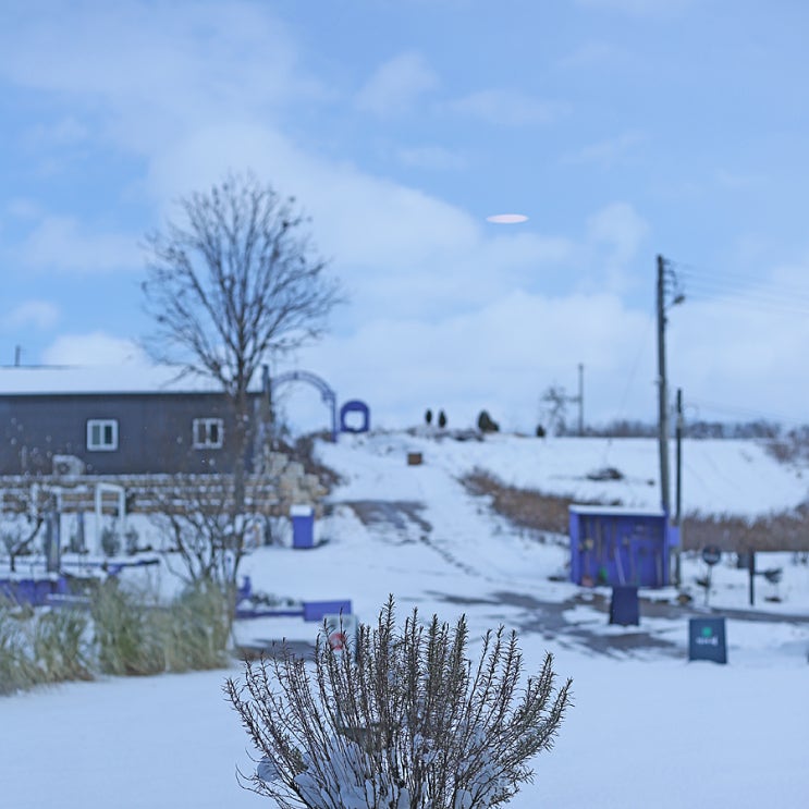 광주 근교 드라이브하기 좋은 사진 맛집, 고창 대형카페 : 네이버 블로그