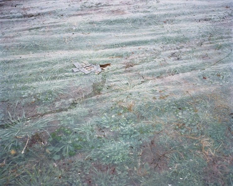 Morgan Mueller : 네이버 블로그